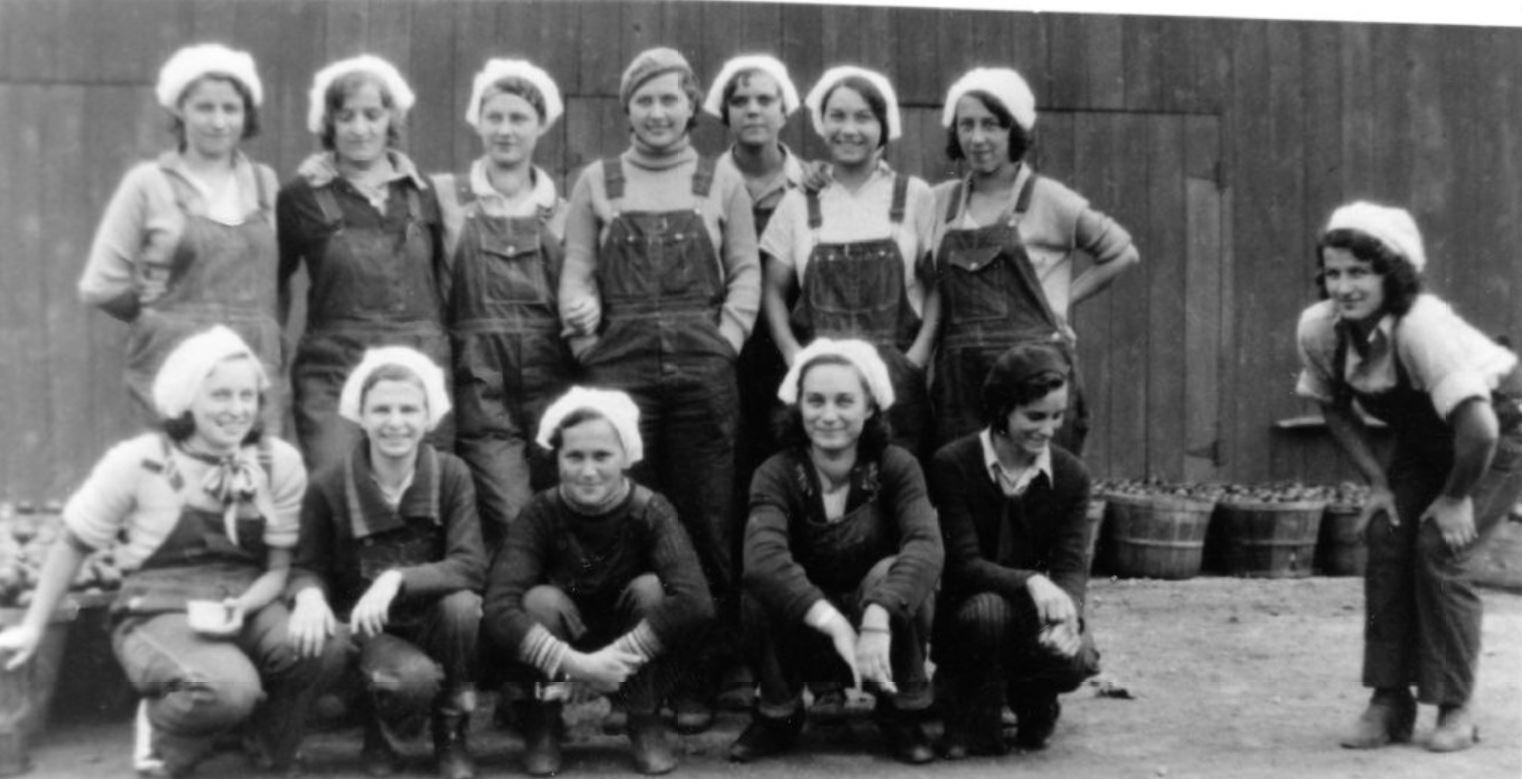 Pass the Peas, Please: Wisconsin’s Canning History - Recollection Wisconsin
